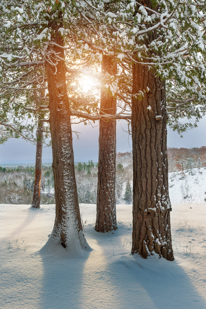 Complete Landscape Gallery – Snap Happy Gal Photography